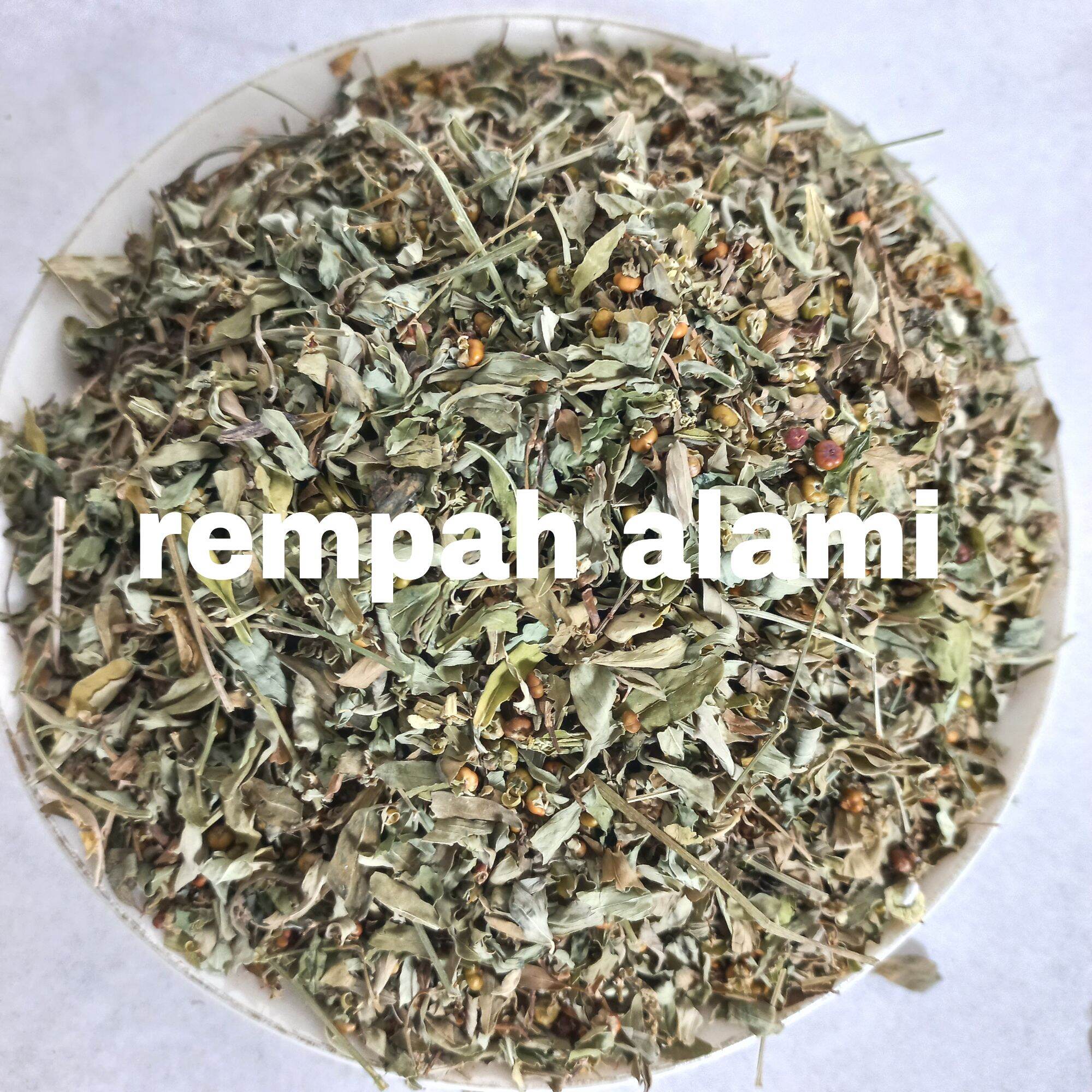 meniran kering/phyllanthus urinaria 100gr | Lazada Indonesia