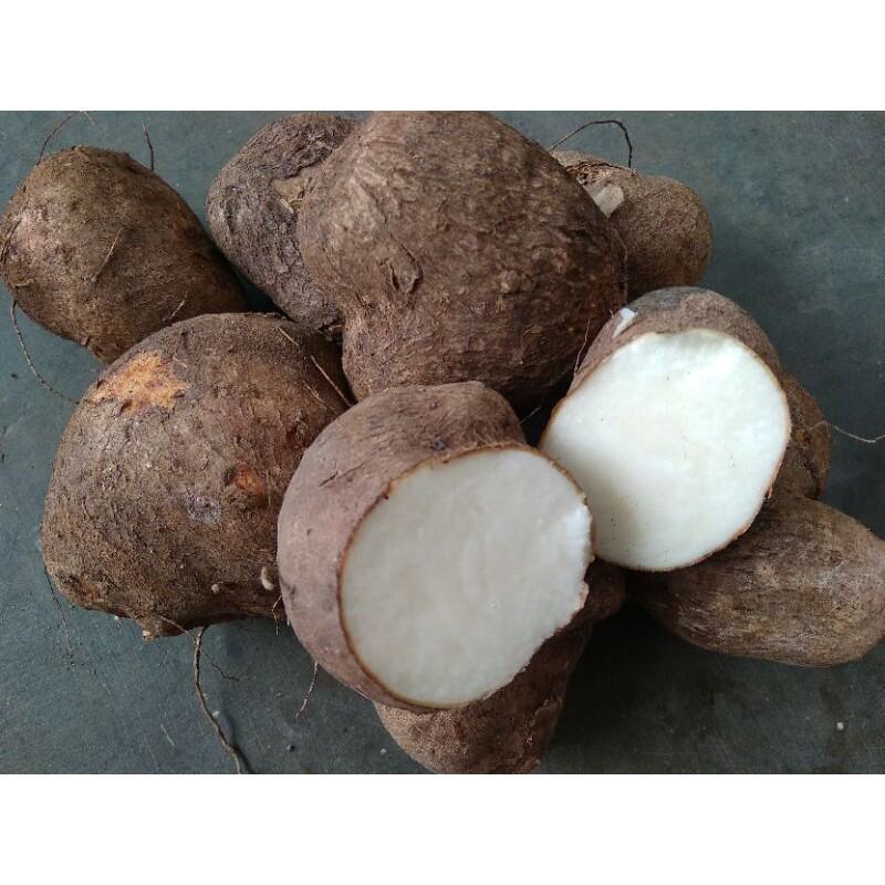 UMBI/UWI/UWI PUTIH/UMBI JALAR 1KG | Lazada Indonesia