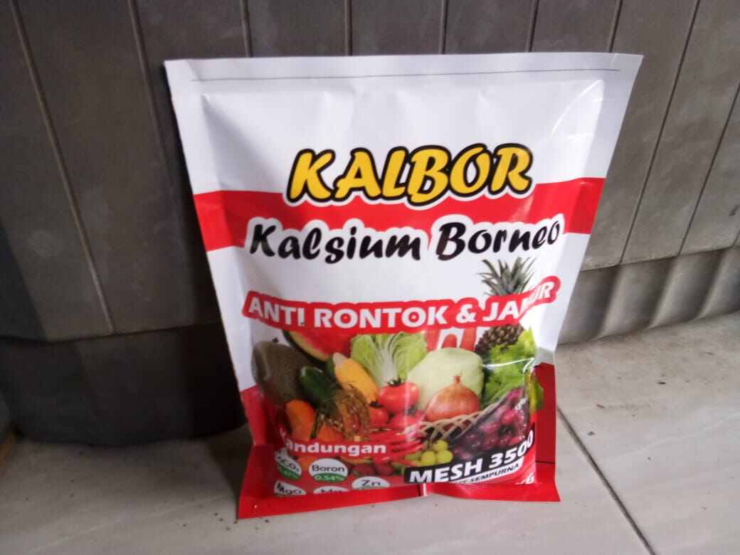 KALBOR CALSIUM PLUS BORON 1kg | Lazada Indonesia