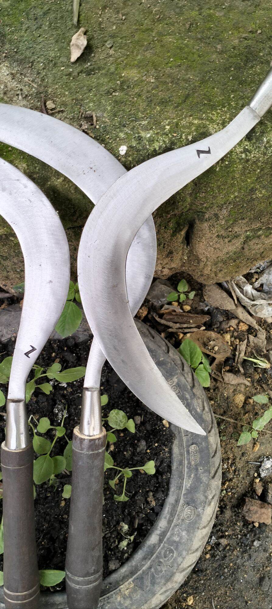 arit rumput asli Madura,bahan full baja,spek utk rumput dan ranting ...