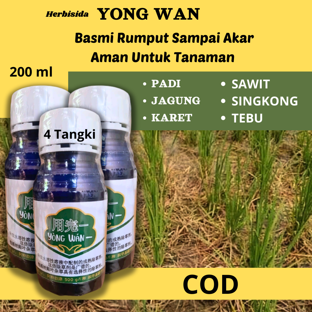 HERBISIDA YONGWAN PEMBASMI RUMPUT RACUN RUMPUT YONG WAN | Lazada Indonesia
