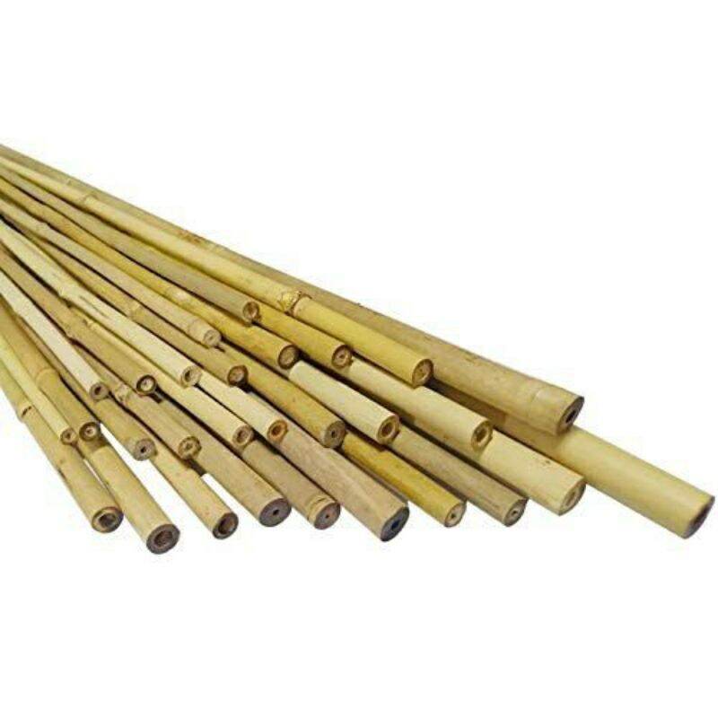 Ranting bambu basah atau kering kerajinan bambu isi 15 pcs | Lazada ...