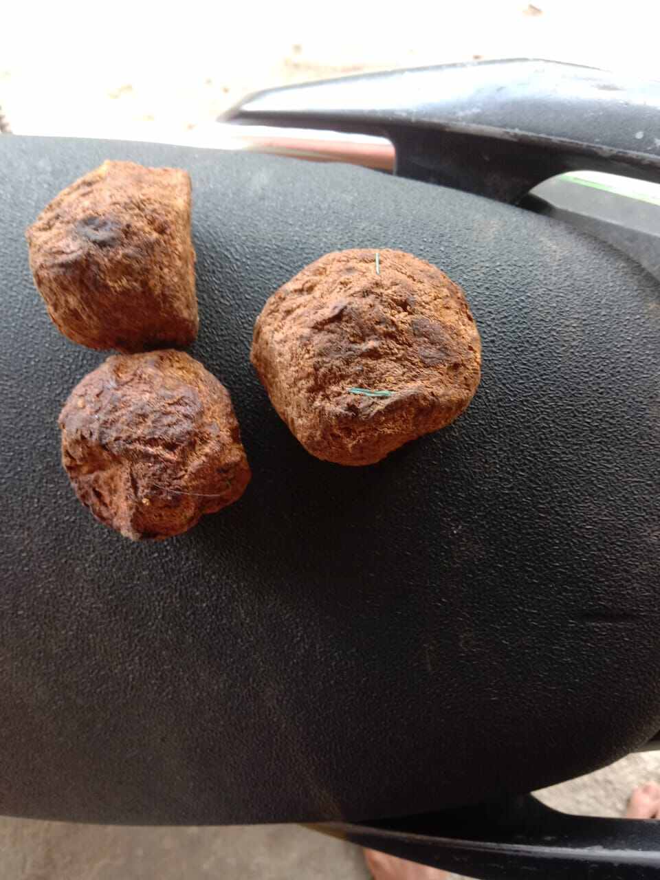 Gambir Getah 1Kg Gambir Serbuk Gambir Herbal Gambir Sumatera Obat Diare ...