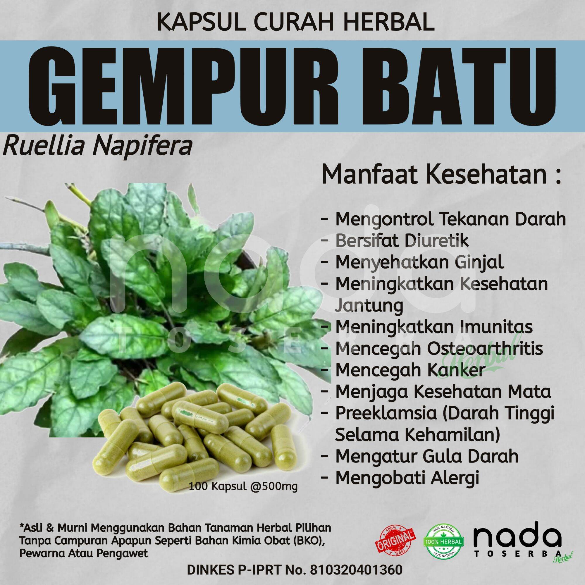 Kapsul GEMPUR BATU 100 Kapsul Herbal Curah | Herbal Ginjal Dan ...