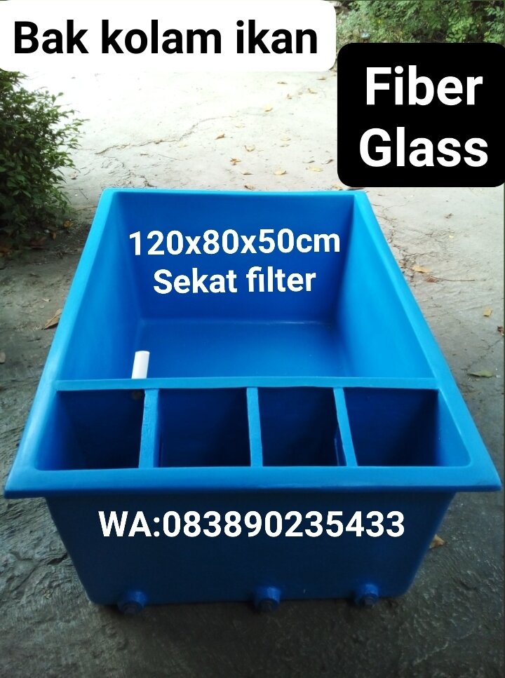 Bak kolam ikan. fiber glass. 120x80x50cm. sekat filter. | Lazada Indonesia
