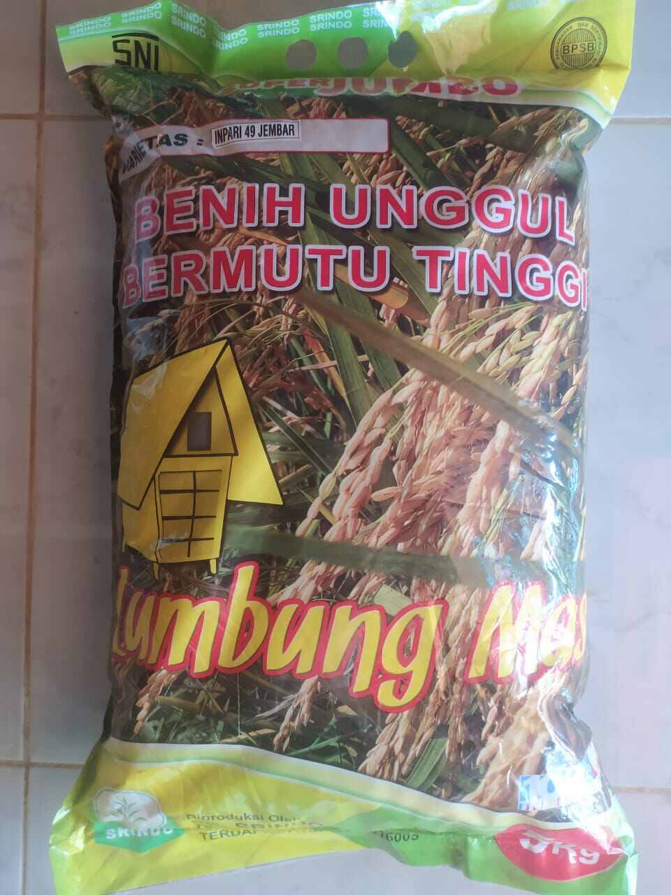 Benih padi unggul terbaru INPARI 49 JEMBAR label ungu 5kg | Lazada ...