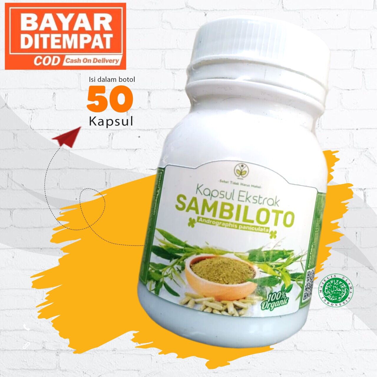 Kapsul Sambiloto Ekstrak Daun Sambiroto Murni | Lazada Indonesia