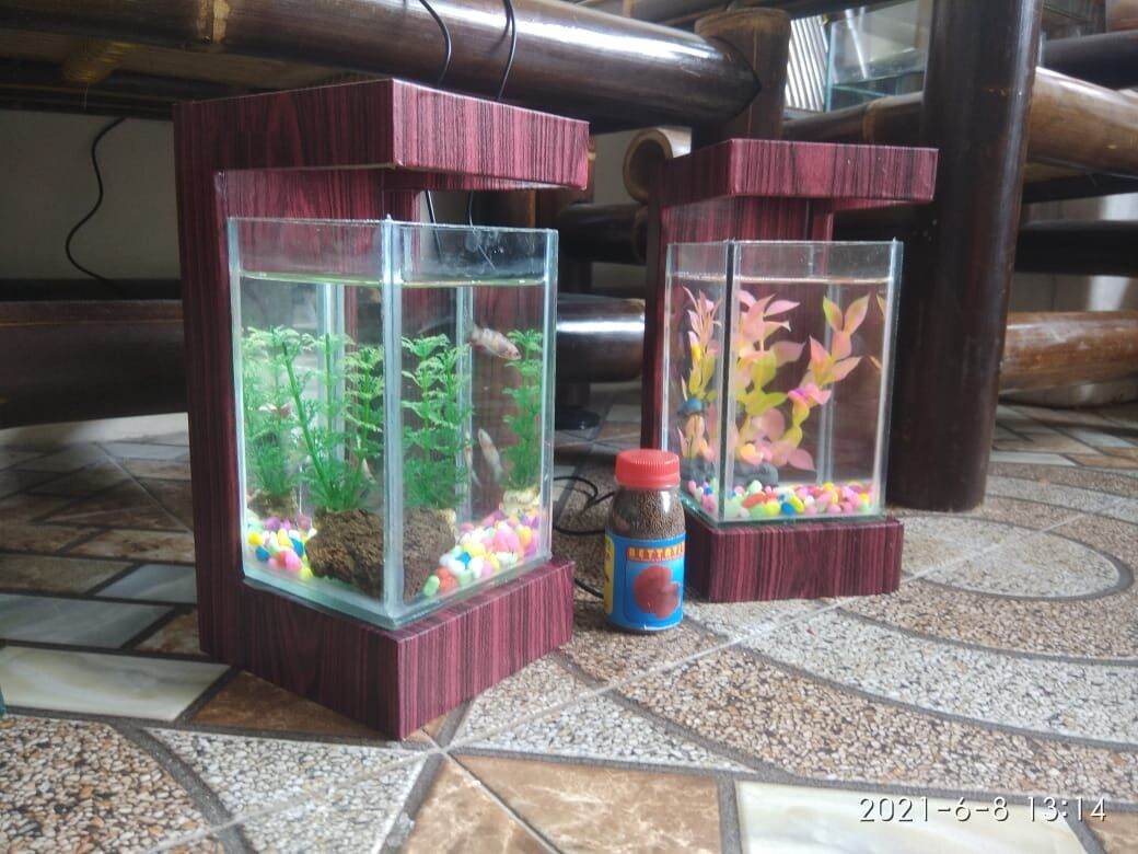akuarium minimalis display kabinet mewah harga murah aquarium ikan ...
