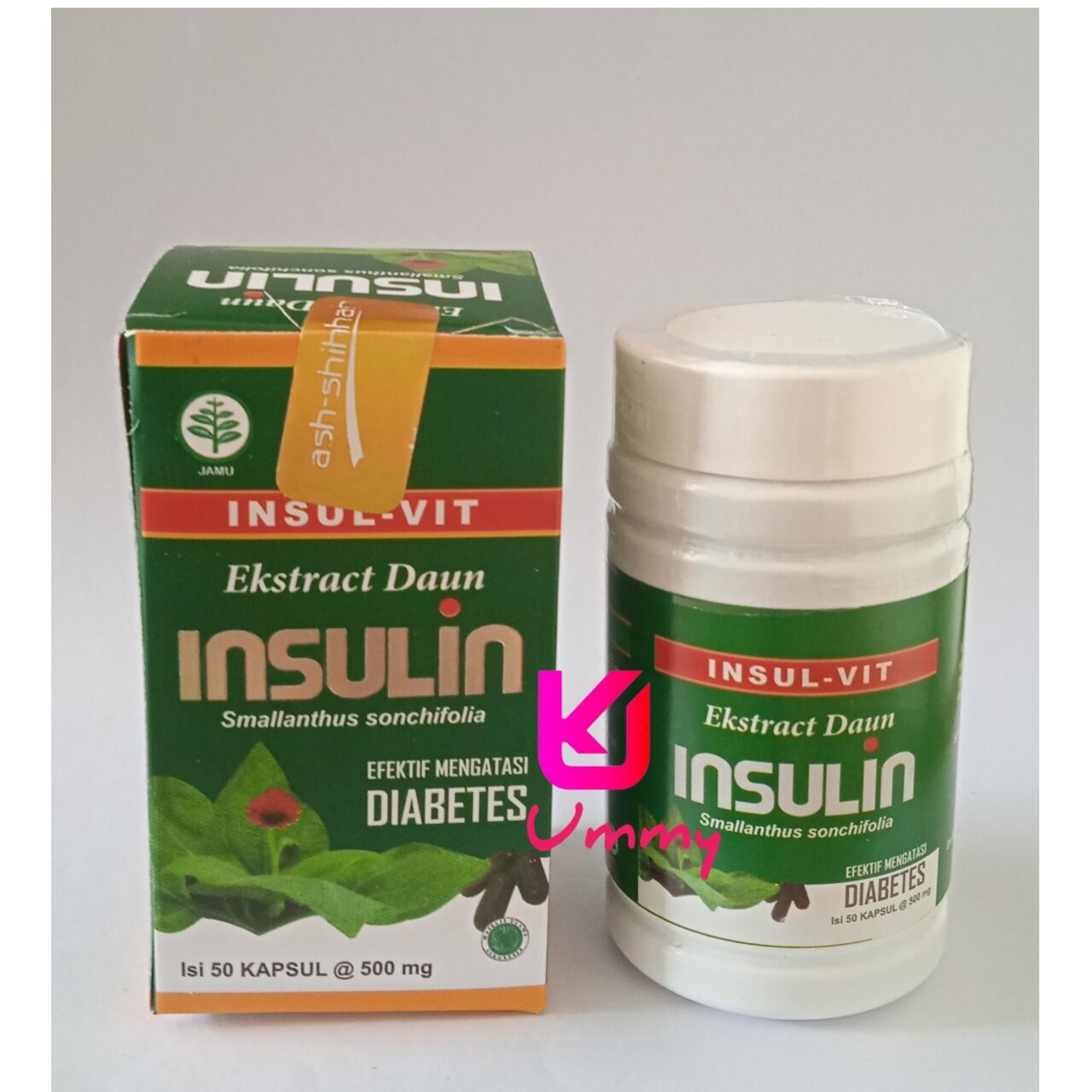 Kapsul Insul-vit Ekstrak Daun Insulin Ash Shihhah Obat Herbal Diabetes ...