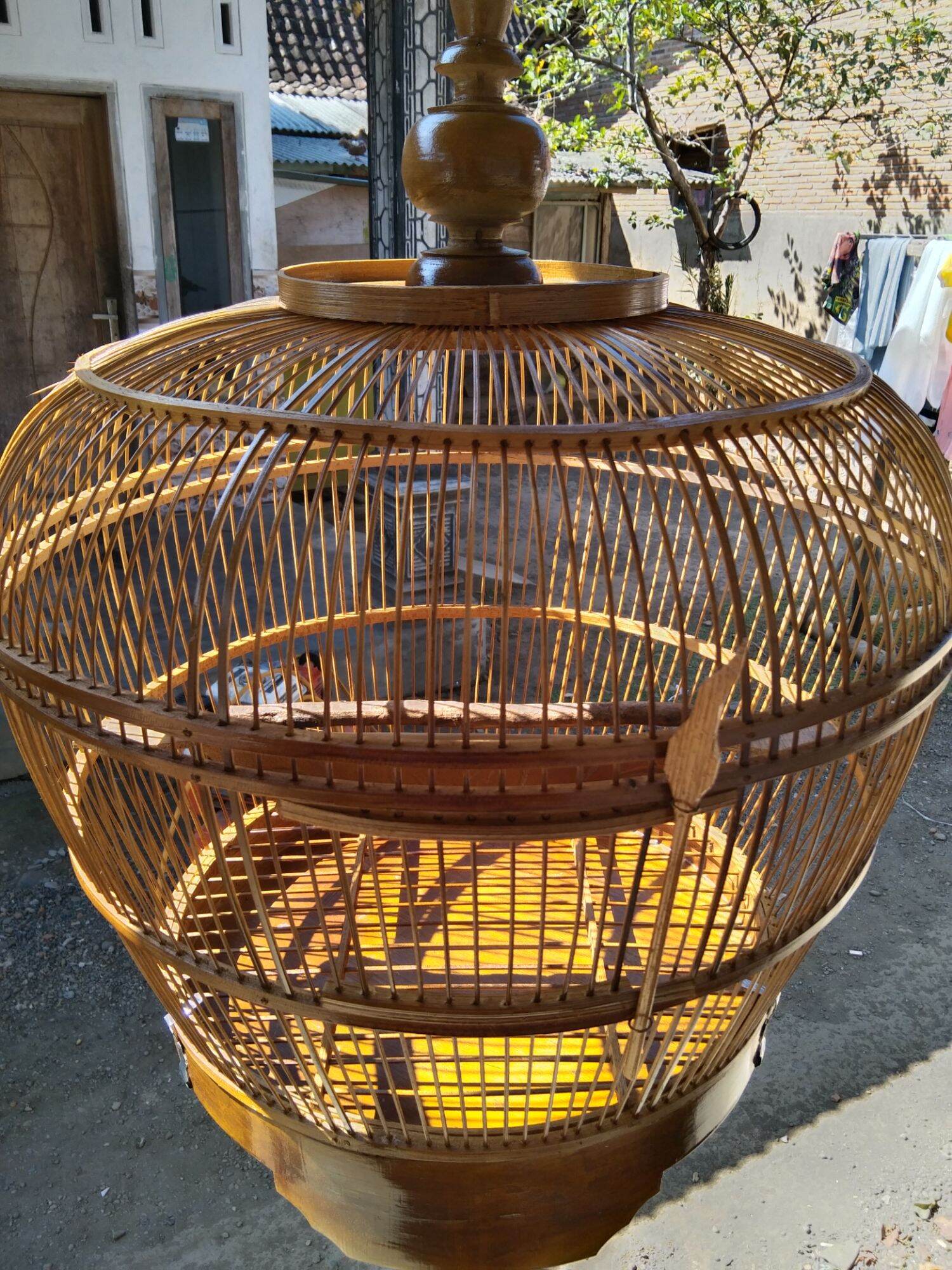 sangkar puter / tekukur tebok finising | Lazada Indonesia