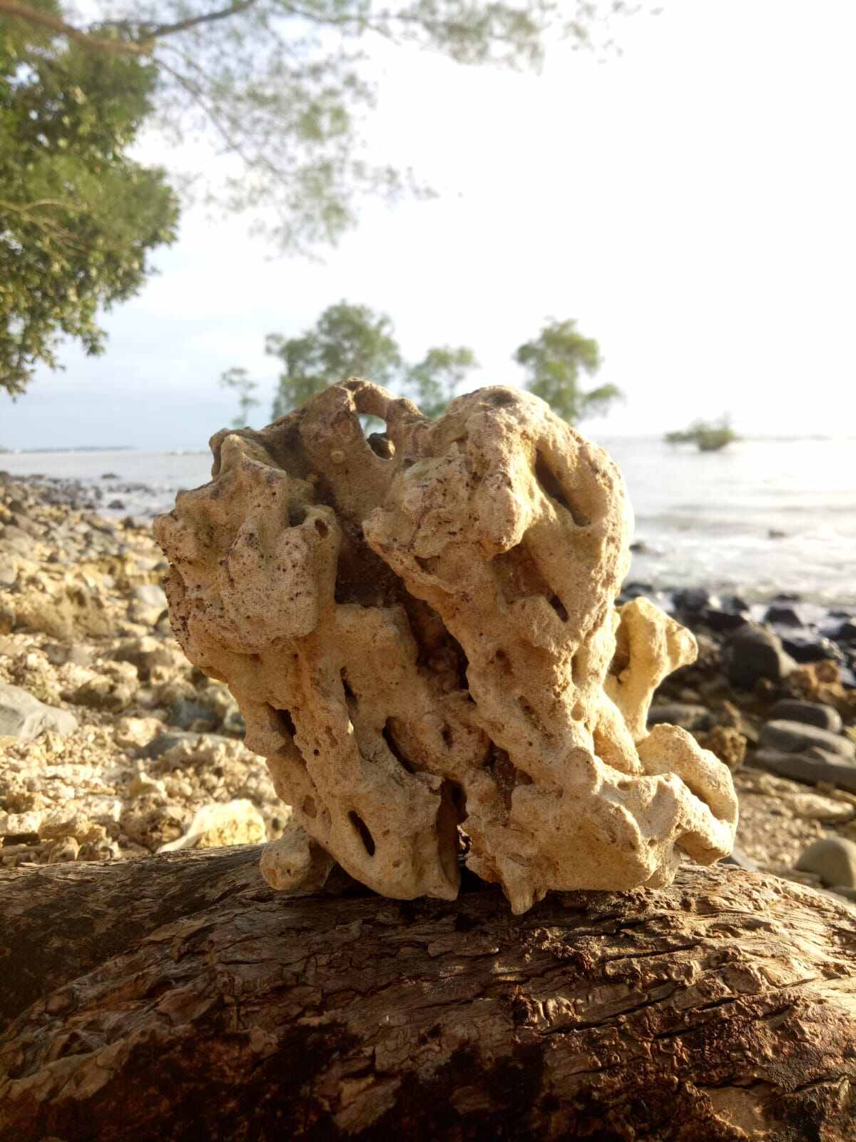 batu karang gunung berlubang/rumah ikan/dekorasi aquarium 2 kilogram ...