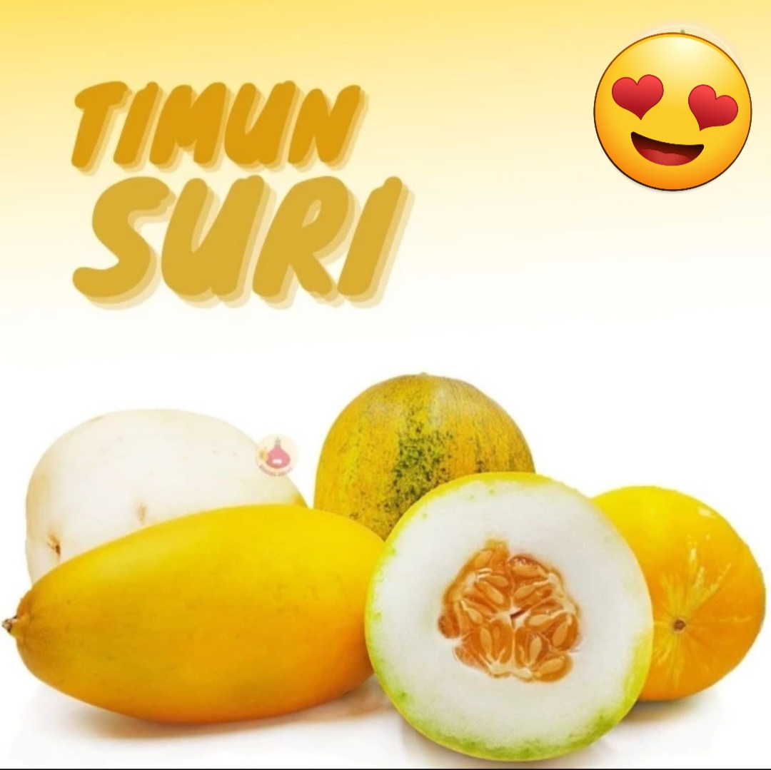 Buah Timun Suri segar 2 kg, mentimun Super buat es campur buka puasa | Lazada Indonesia