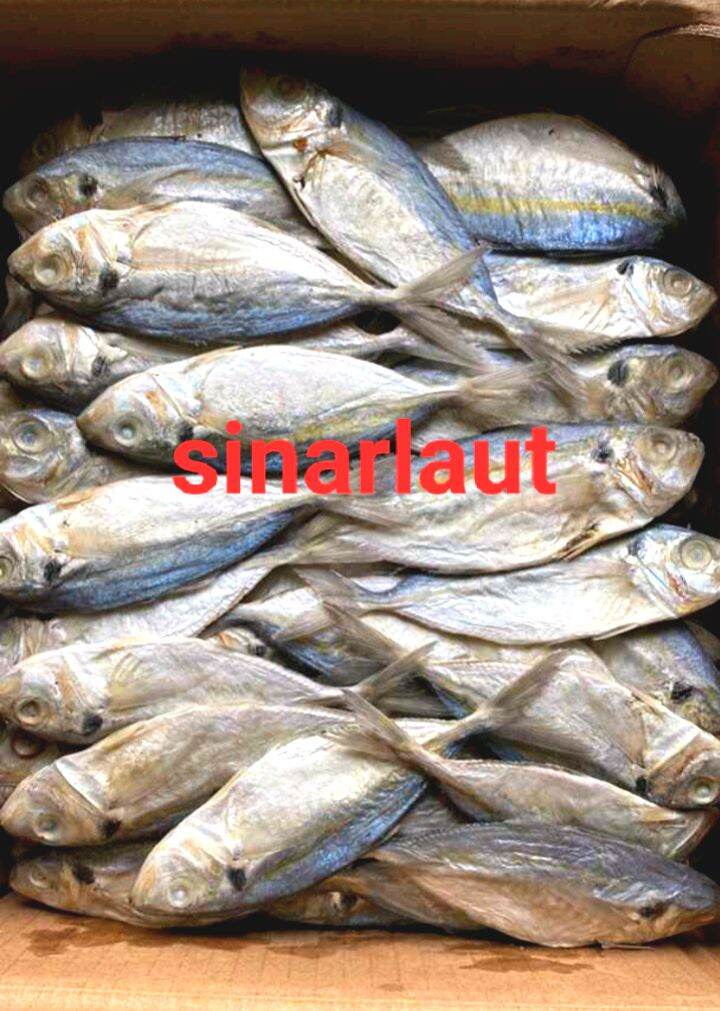 ikan asin SELAR 500gram/1kg | Lazada Indonesia