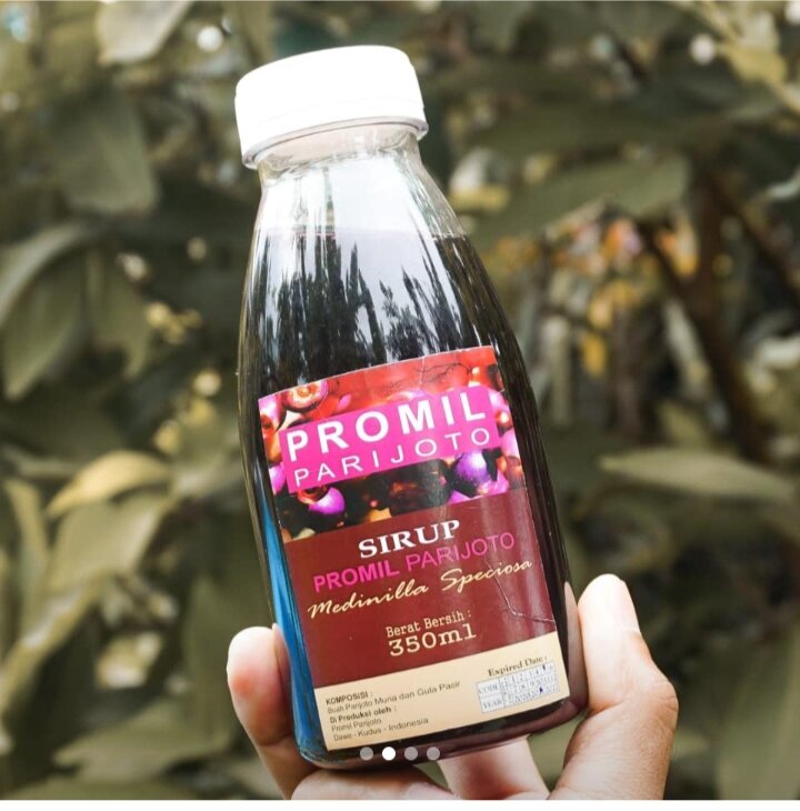 sirup parijoto 350ml | Lazada Indonesia
