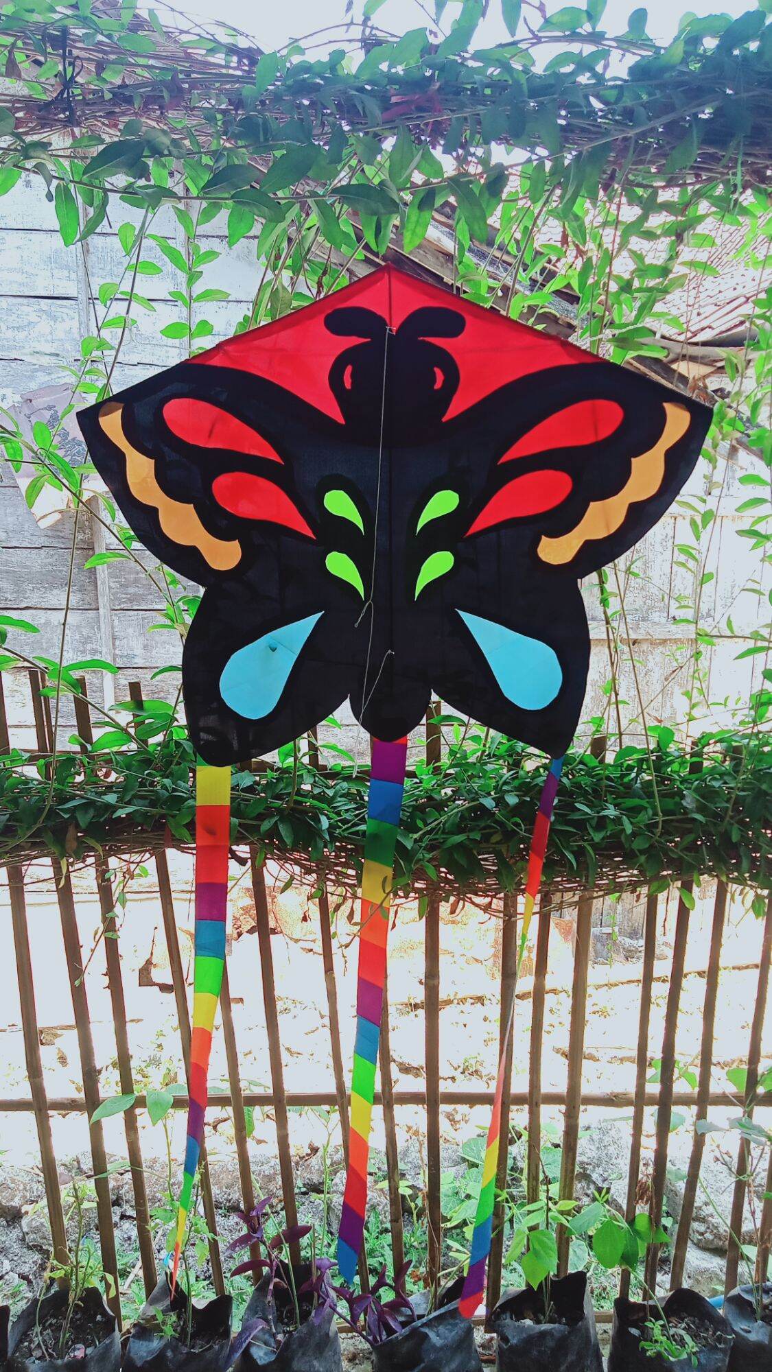 layangan motif kupu-kupu tanggung | Lazada Indonesia