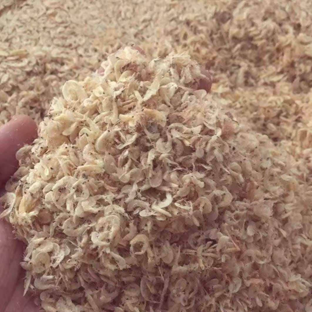 Udang Rebon Kering Murah Ikan Asin Rebon Murah 1 Kg | Lazada Indonesia