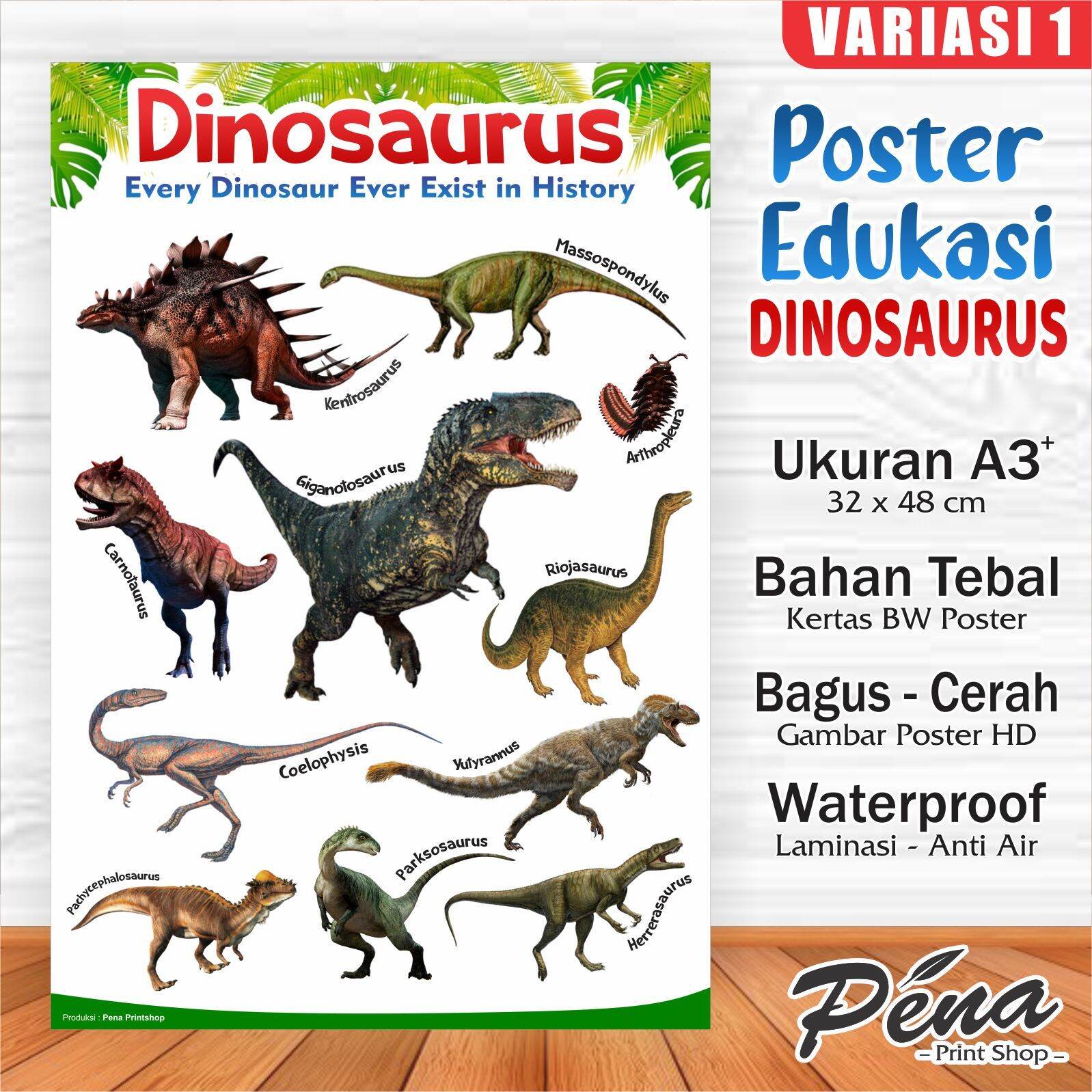 Poster Dinosaurus / Poster Edukasi Dinosaurus / Poster Belajar / Poster ...