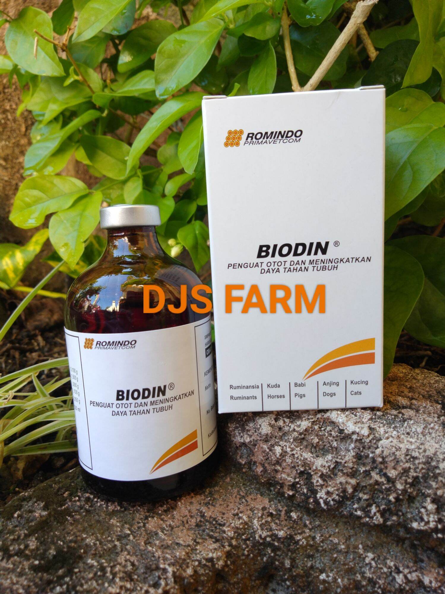 Biodin 100 ml Romindo Obat Penambah Energi Penguat Otot Meningkatkan ...