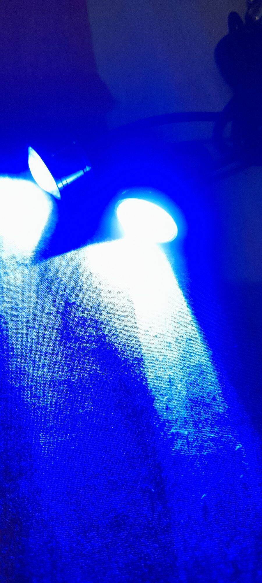 Lampu strip modul led 3 mata elang running flash strobo warna biru 12 ...