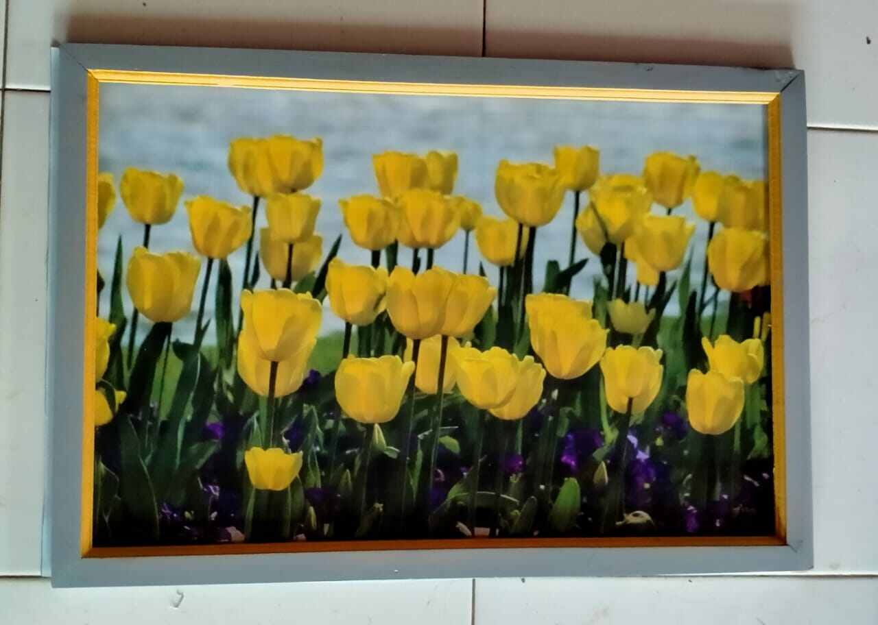 hiasan dinding lukisan cetak bunga tulip kuning plus bingkai ukuran 85× ...