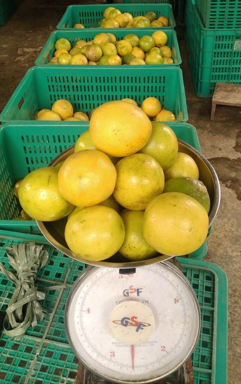Lemon California Fresh 1 Kg / 1000 gram Isi 9-15 | Cocok Untuk Infused ...