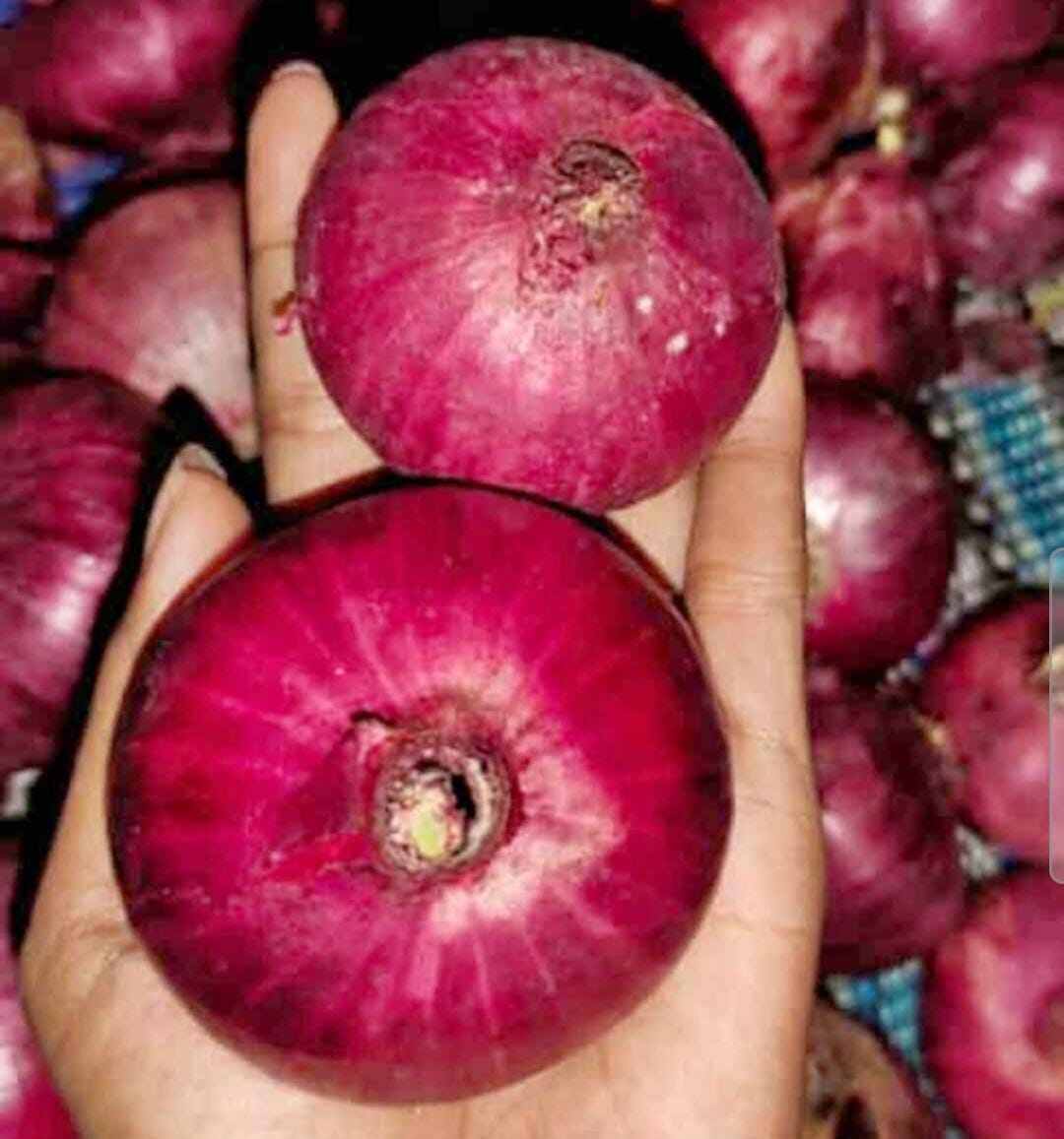 Bawang Merah India 1kg | Lazada Indonesia