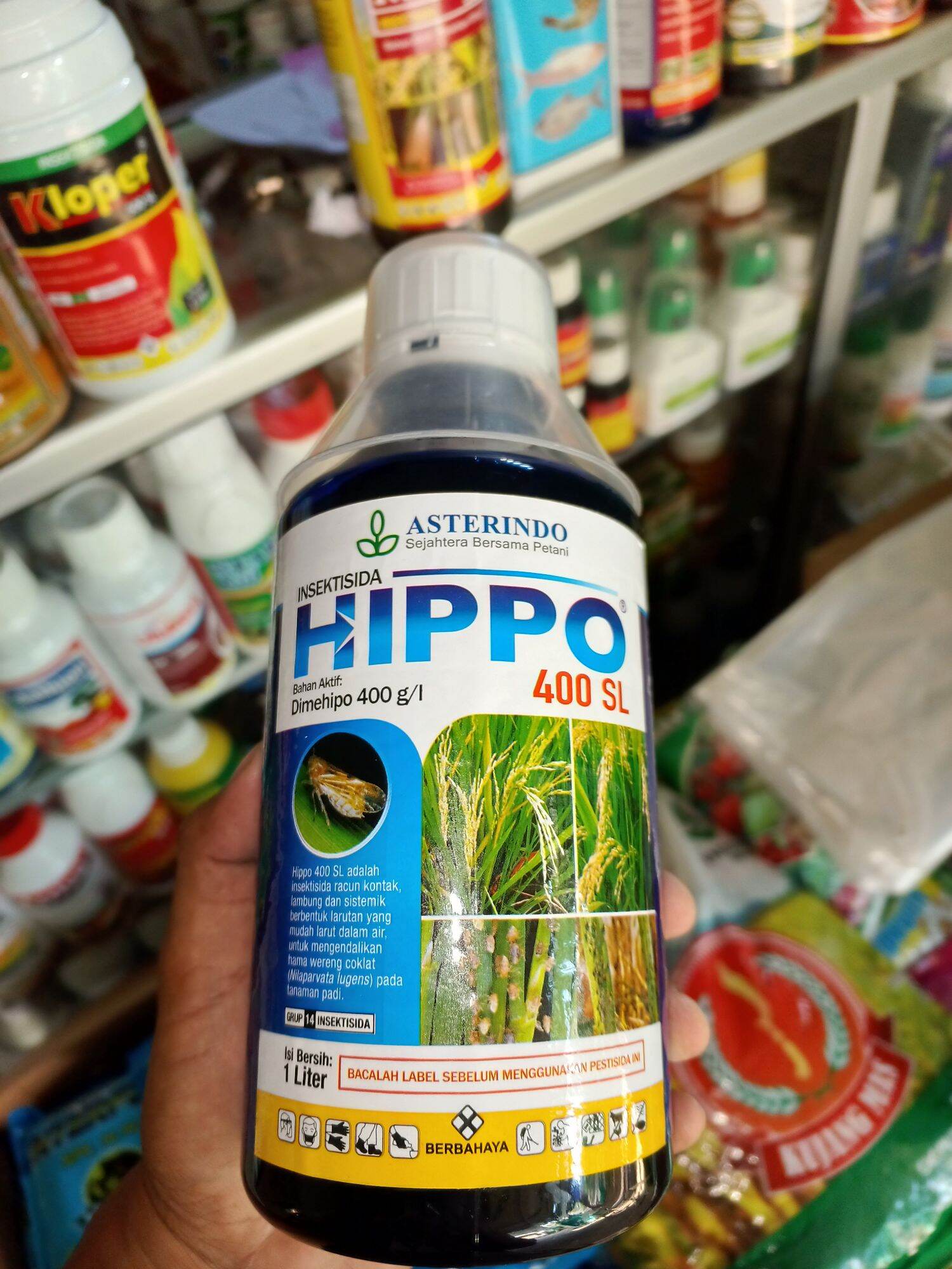 INSEKTISIDA HIPPO 400 SL 1 LITER SUNDEP/BELUK | Lazada Indonesia