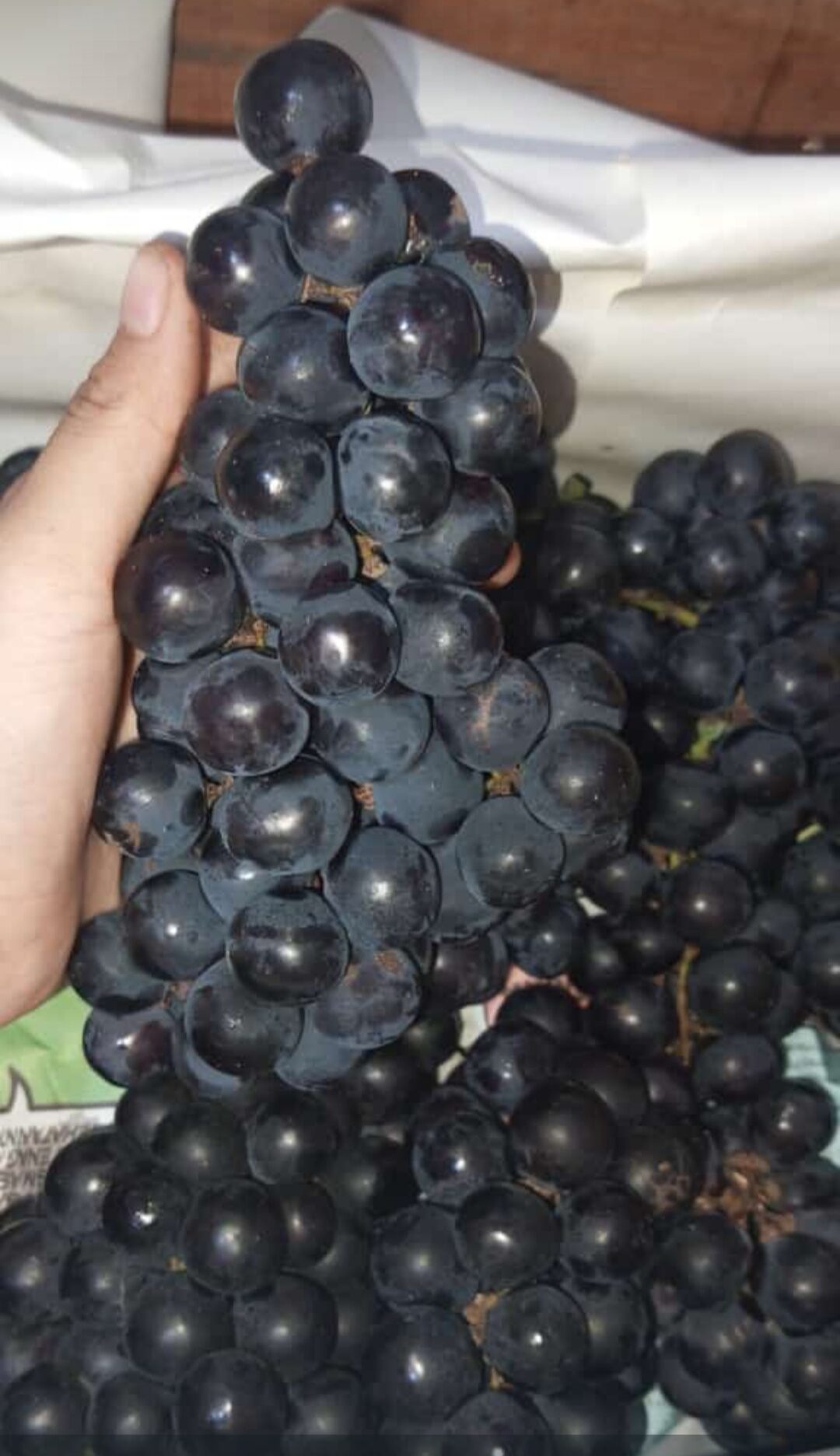 Buah anggur Bali segar 1 kg | Lazada Indonesia