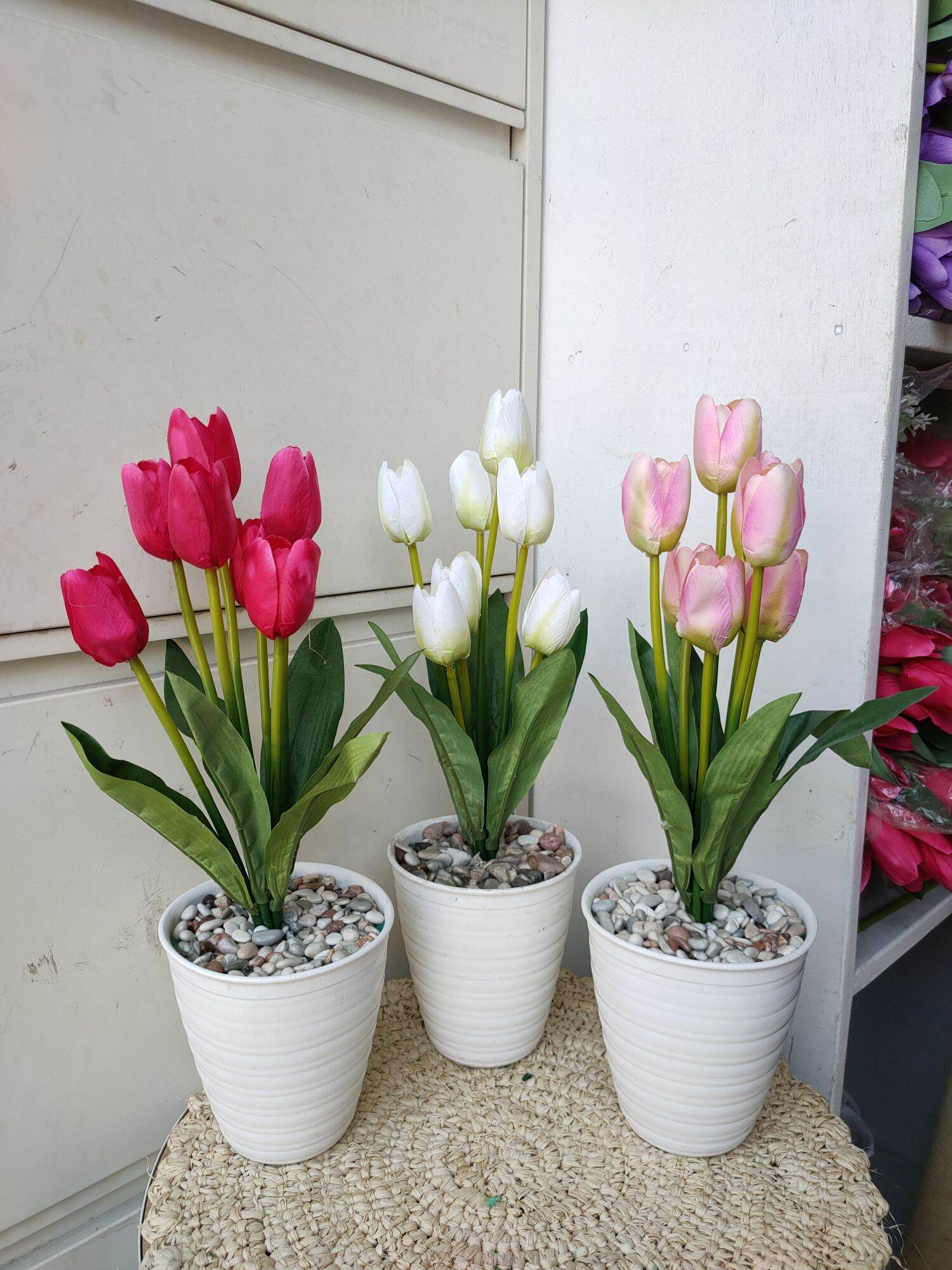bunga tulip pot tawon pirus panjang, harga sudah termasuk bunga dan pot ...
