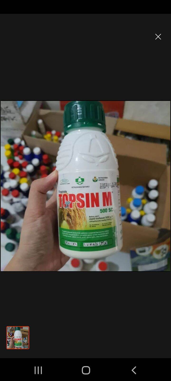 Topsin 500SC 500ml Fungisida Obat Pembasmi Jamur Pada Tanaman | Lazada ...