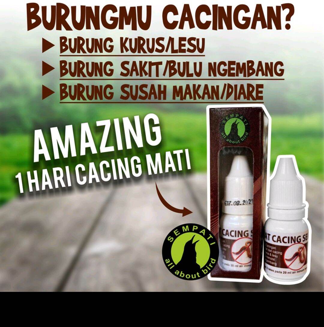 Obat Cacing Sempati Mengobati Burung Sakit Cacingan Kurus Lesu Untuk ...