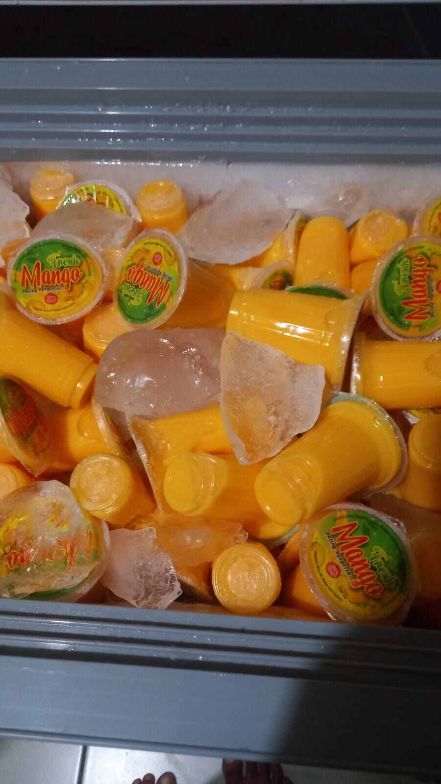 Fresh Mango Milk 180ml paket 10pcs | Lazada Indonesia