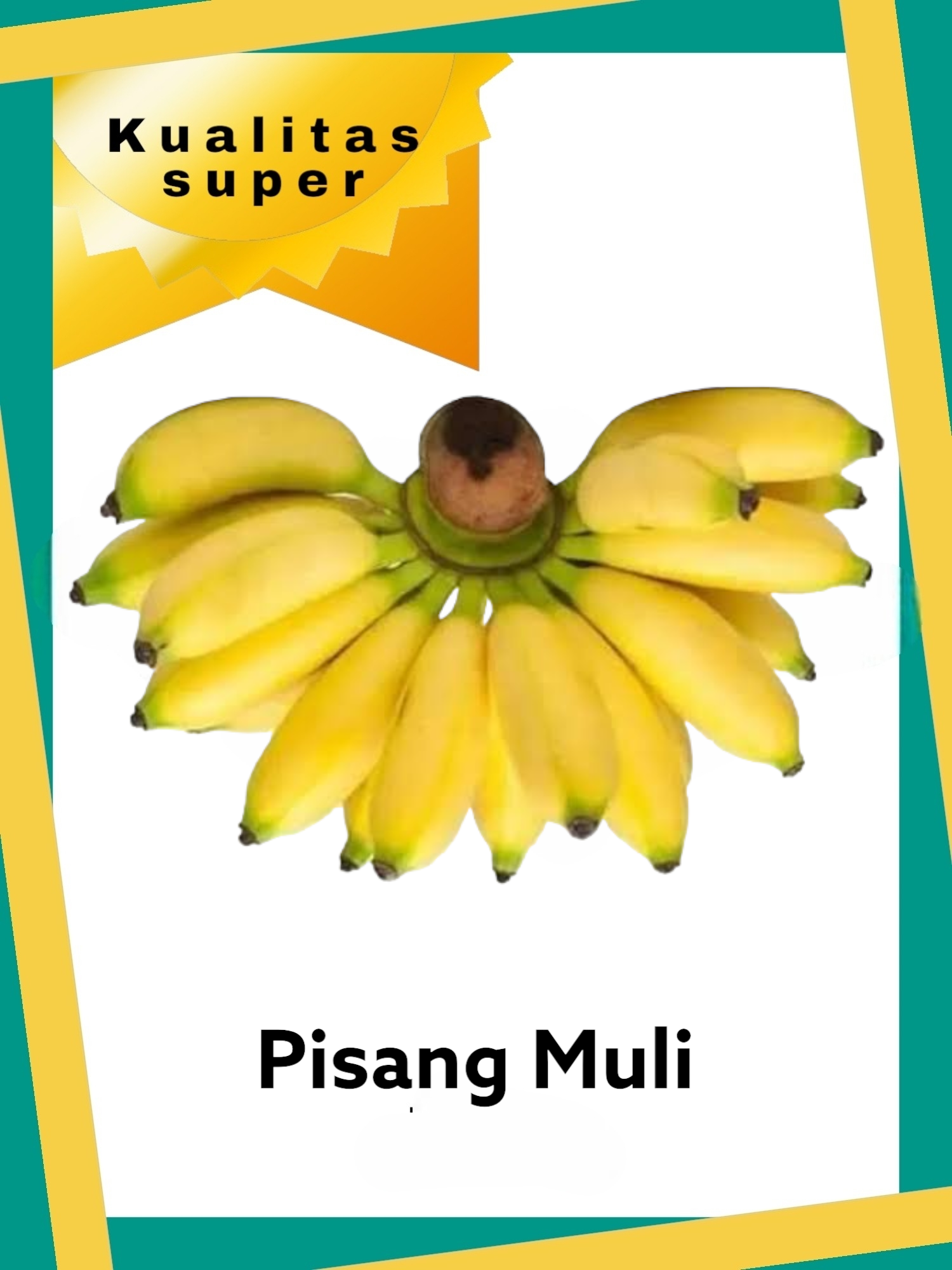 pisang muli segar manis terbaik 1kg termurah paling segar | Lazada ...