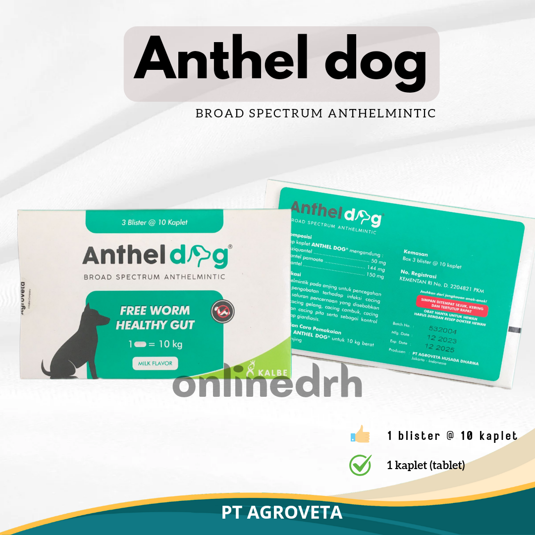 ANTHEL DOG Obat Cacing untuk Anjing 1 Tablet | Lazada Indonesia