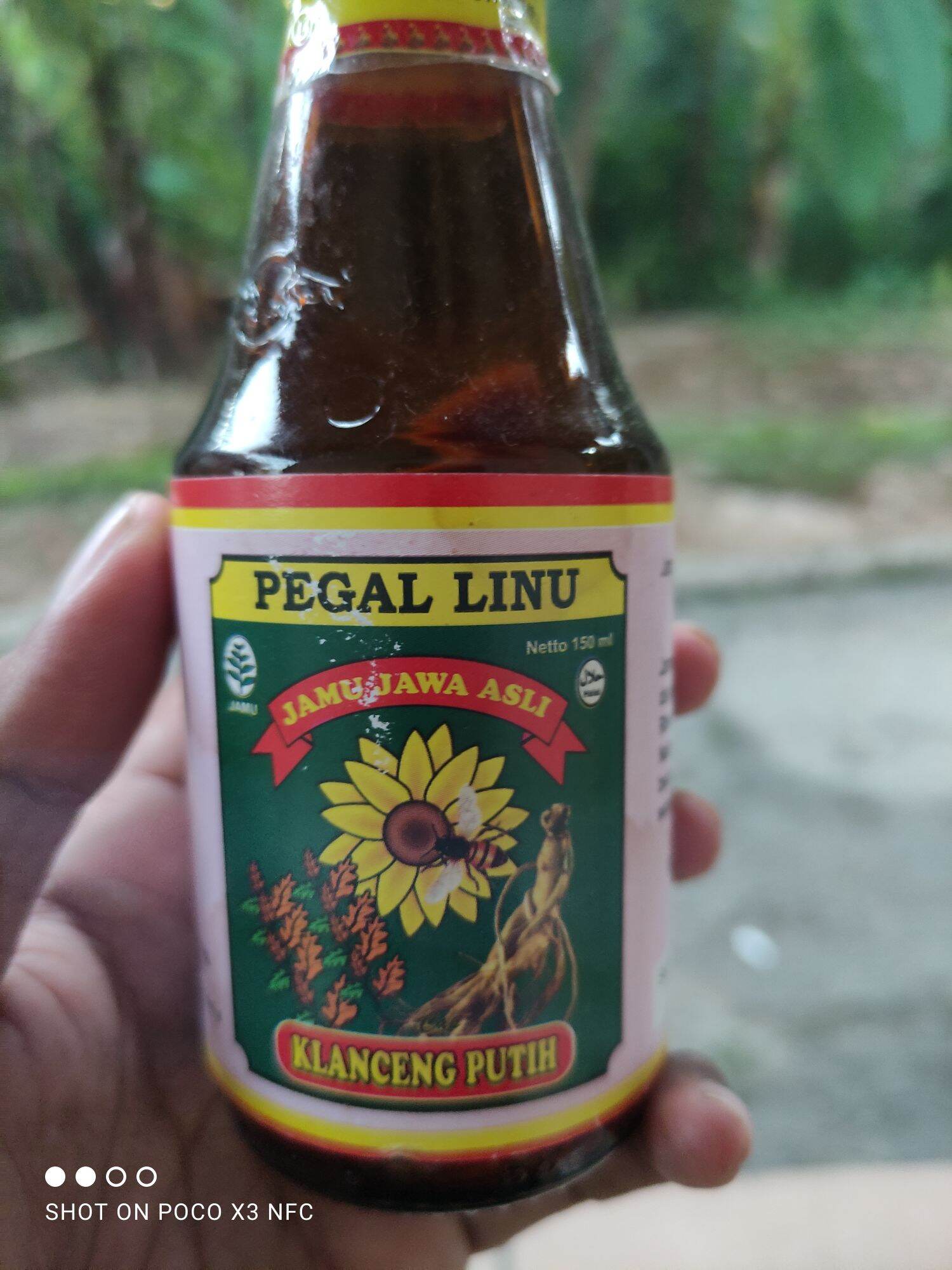 Jamu Jawa Asli Cap Klanceng putih 150ml | Lazada Indonesia