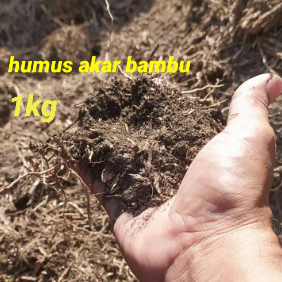 media tanam humus akar bambu kondisi tanah humus campur akar 1kg ...