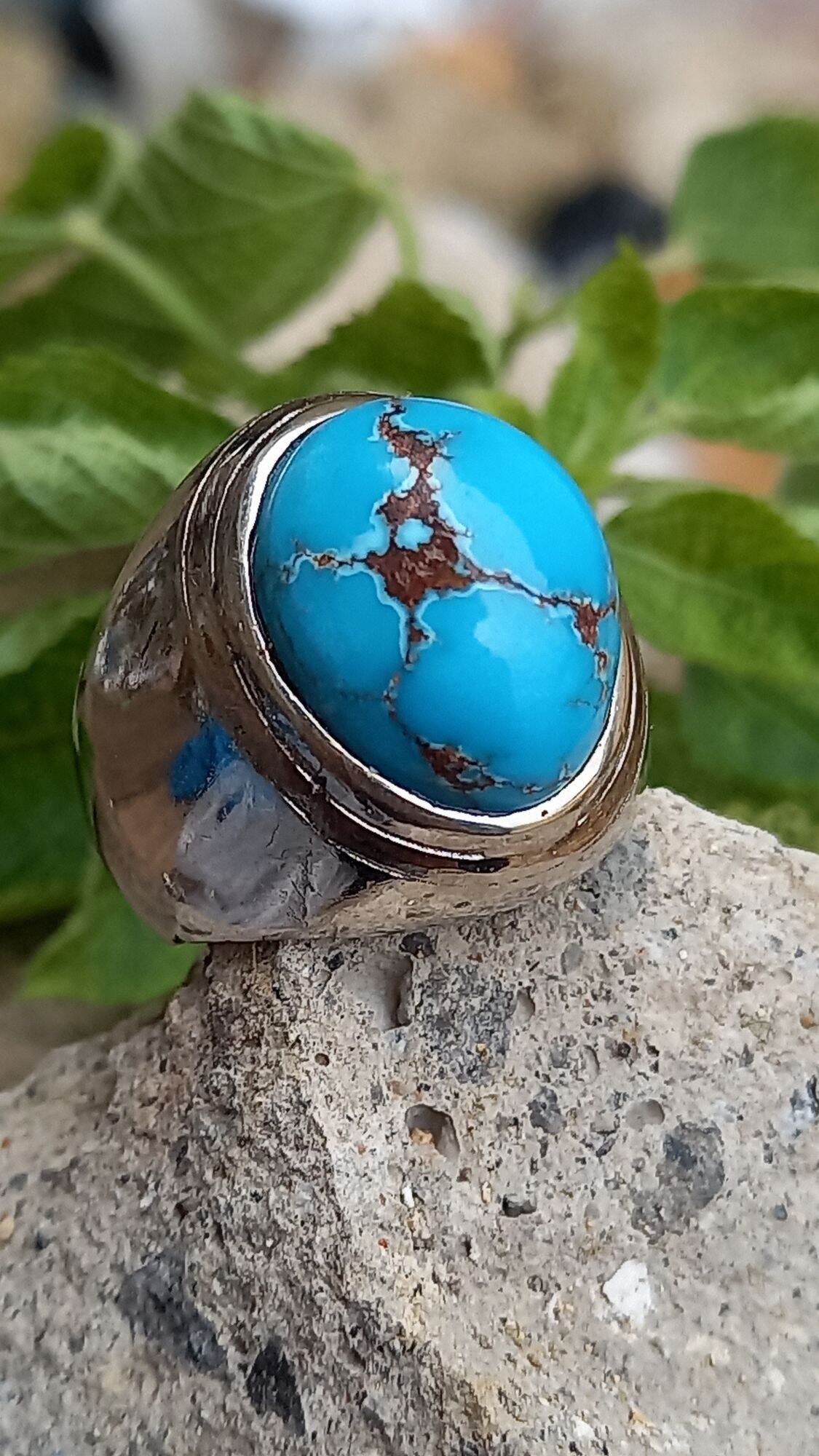 PIRUS MESIR NATURAL KUALITAS SUPER MANTAP | Lazada Indonesia